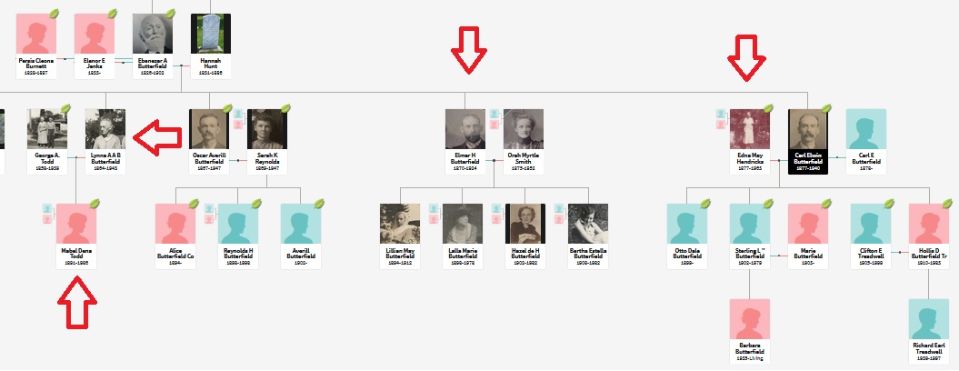 Ancestor profiling using mixed methods – The Malevolent Matriarch